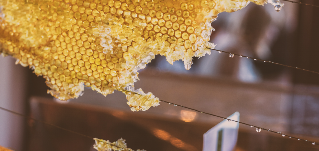 The Orthodox Jewish Female Beekeeper - Jew in the City