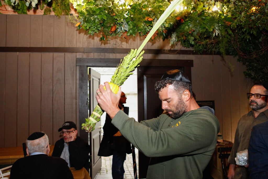 Why Do We Shake the Lulav and Other Arba Minim on Sukkot? - Jew in the City