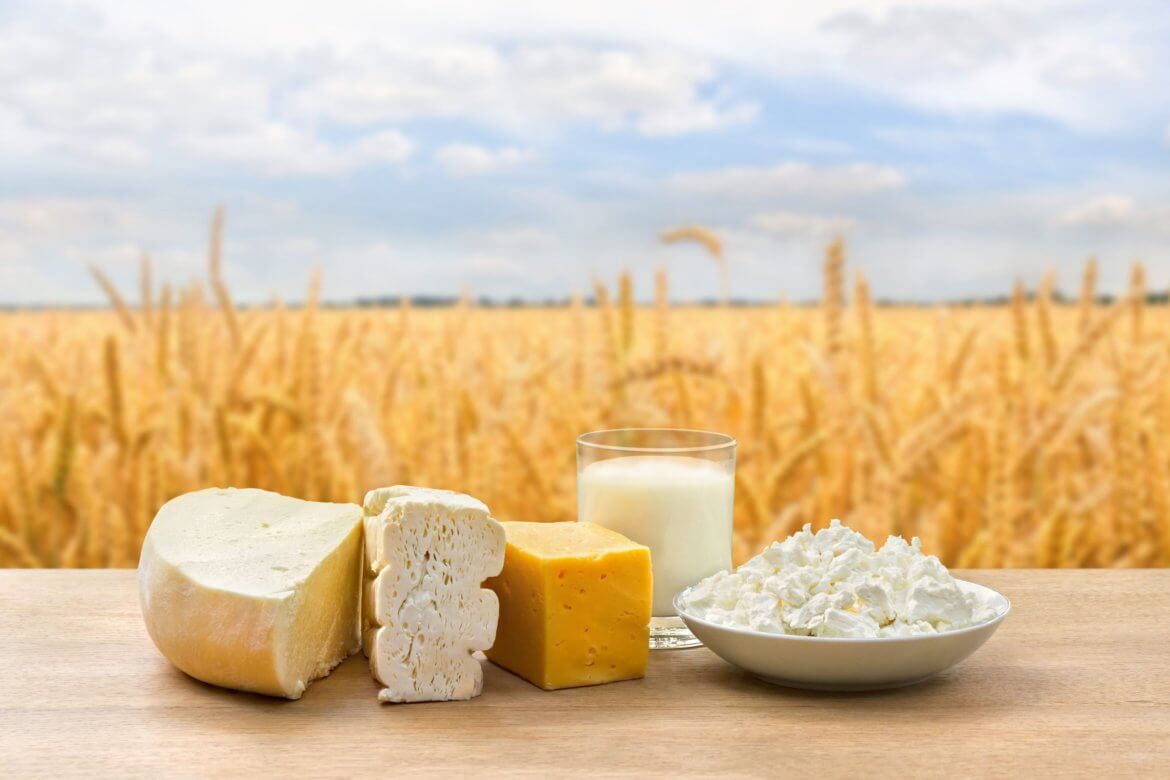 Why Do We Eat Dairy on Shavuos? - Jew in the City
