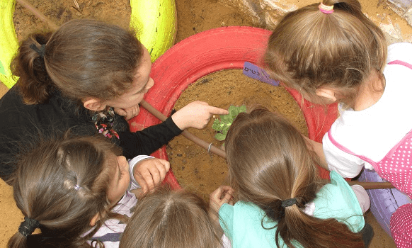 LeShomra in Action: Teaching Haredi Kids To Work With Nature - Jew in ...