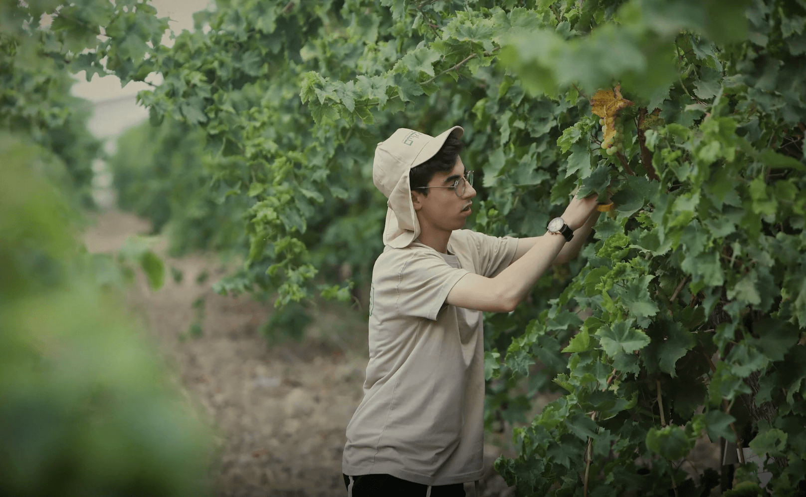 Here's Why You Should Lease A Piece of An Israeli Farm This Tu B'Shvat ...